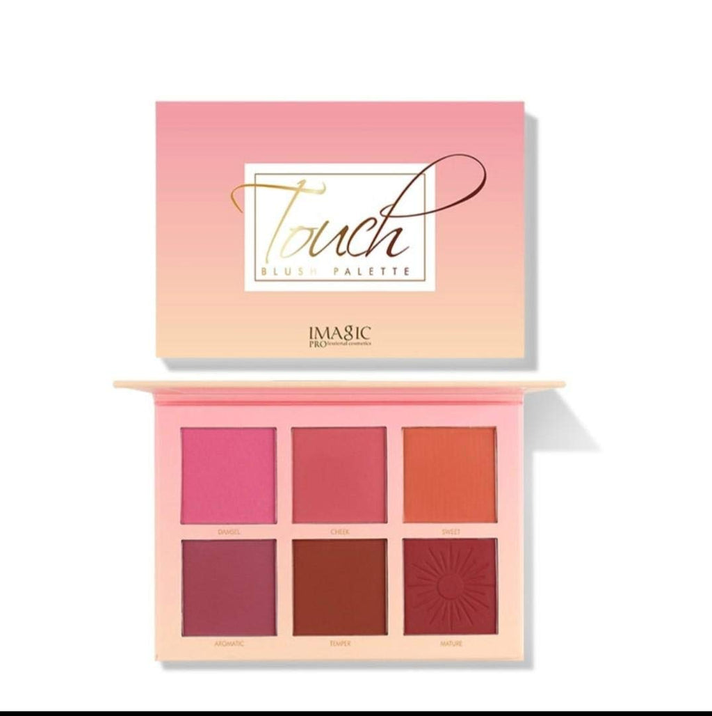 IMagic 6 Color Touch Blush Palette – PRETTYCOSMO & BEAUTY